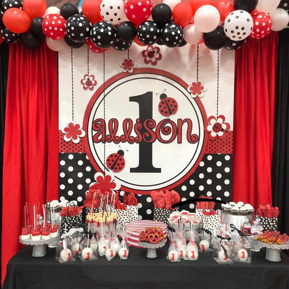 Ladybug 5x6 Table Banner Backdrop/ Step & Repeat, Design, Print and Sh ...